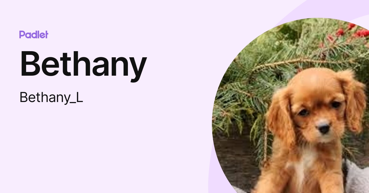 Bethany (Bethany_L) profile | Padlet