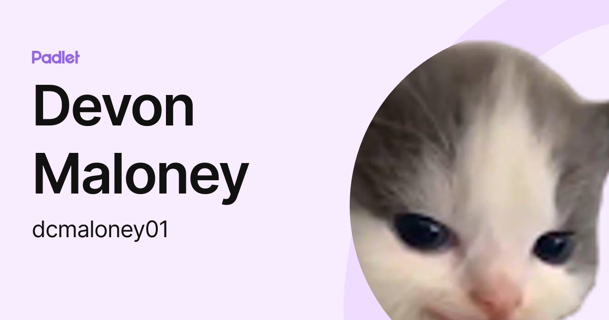 Devon Maloney (dcmaloney01) profile | Padlet