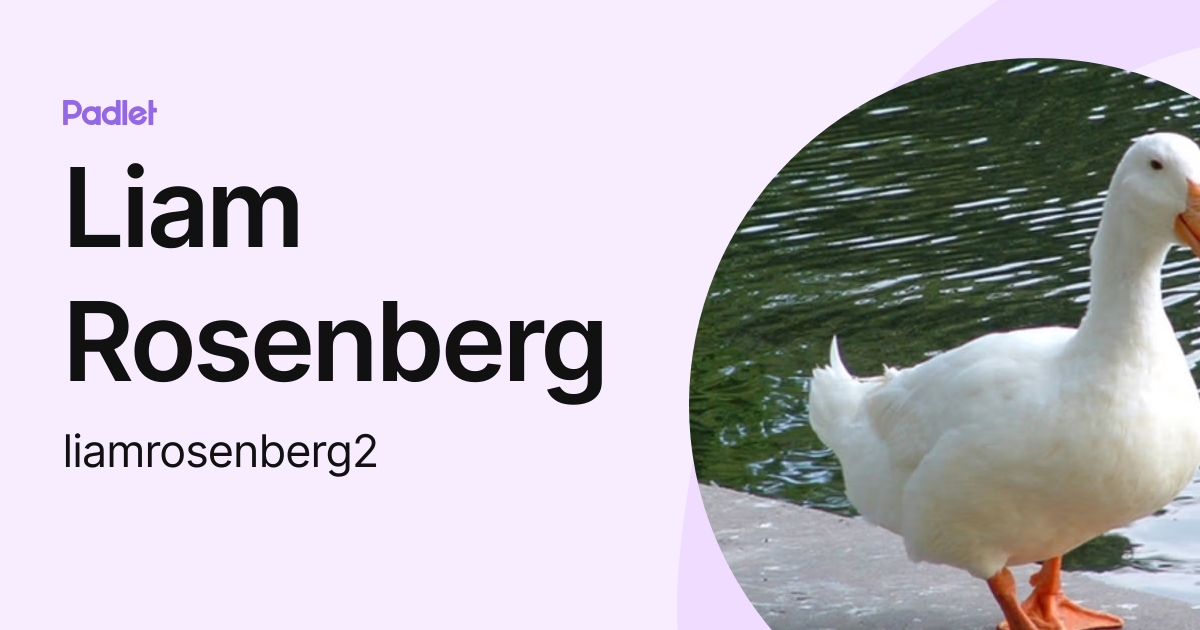 Liam Rosenberg (LMR16) profile | Padlet