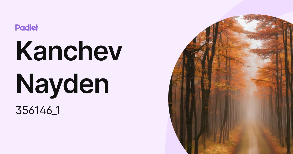 Kanchev Nayden (356146_1) profile | Padlet