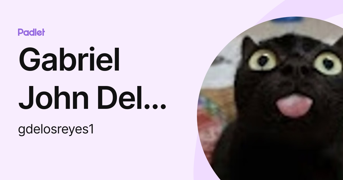 Gabriel John Delos Reyes (gdelosreyes1) profile | Padlet