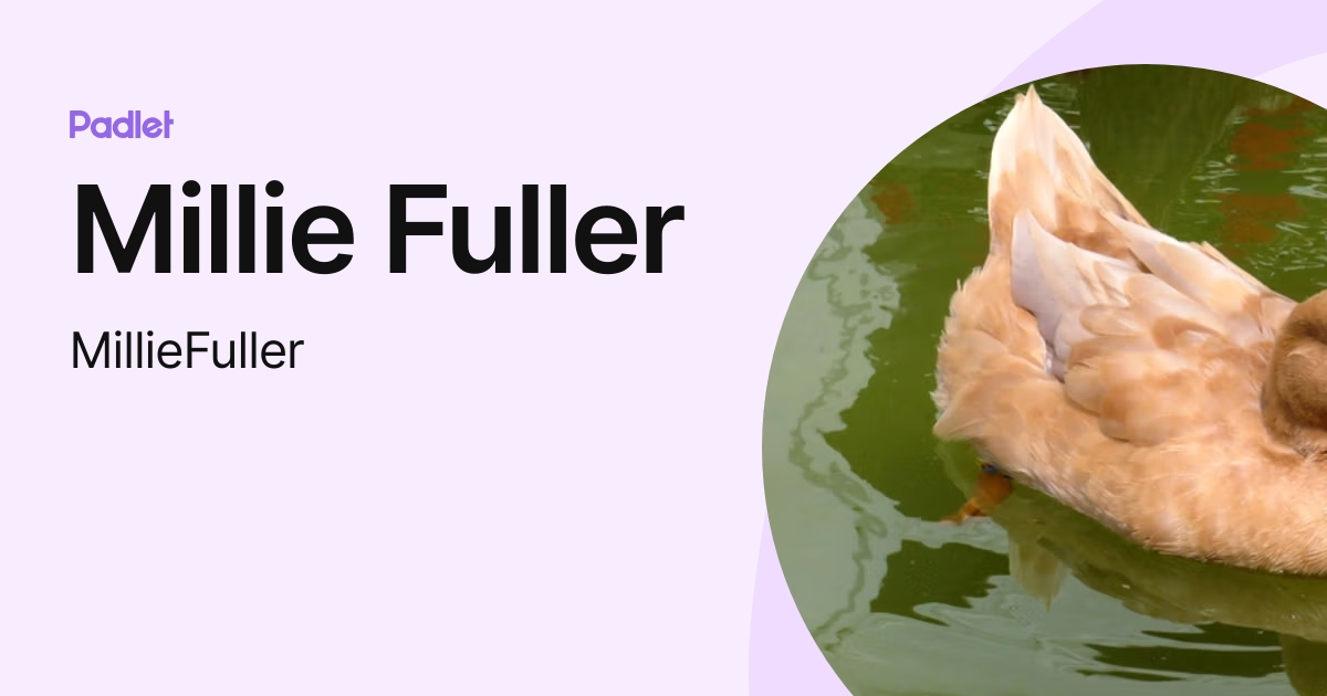 Millie Fuller (MillieFuller) profile | Padlet