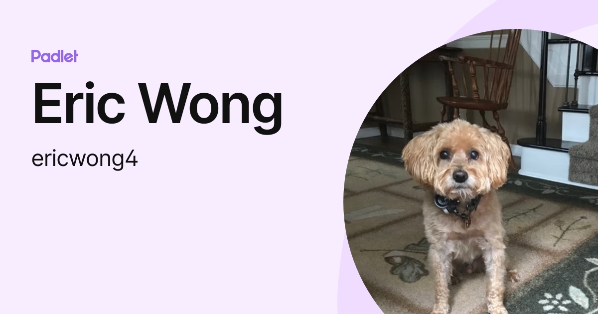 Eric Wong (ericwong4) profile | Padlet