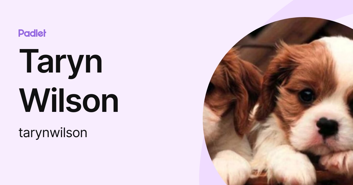 Taryn Wilson (tarynwilson) profile | Padlet