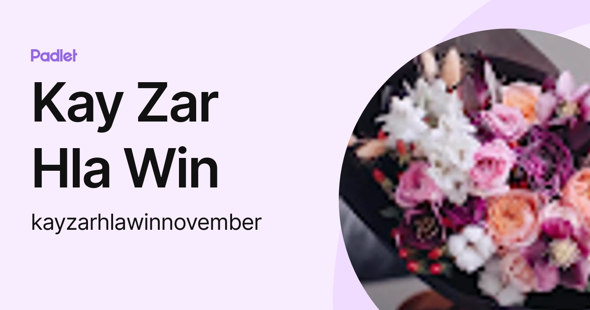 Kay Zar Hla Win (kayzarhlawinnovember) profile | Padlet