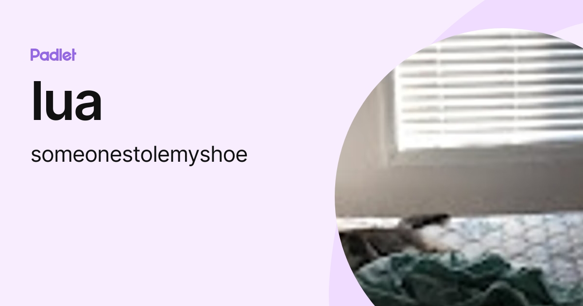 lua (someonestolemyshoe) profile | Padlet