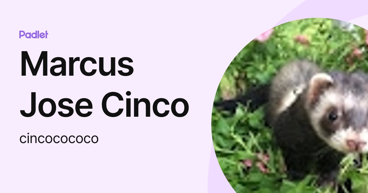 Marcus Jose Cinco (cincocococo) profile | Padlet
