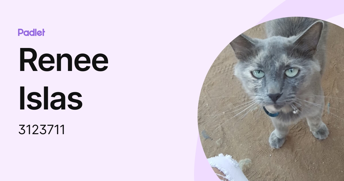 Renee Islas (3123711) profile | Padlet