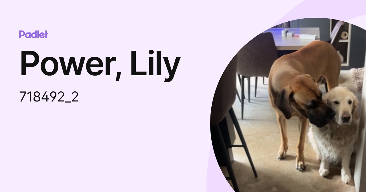 Power, Lily (718492_2) profile | Padlet