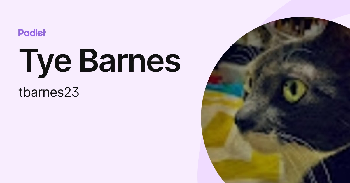 Tye Barnes (tbarnes23) profile | Padlet