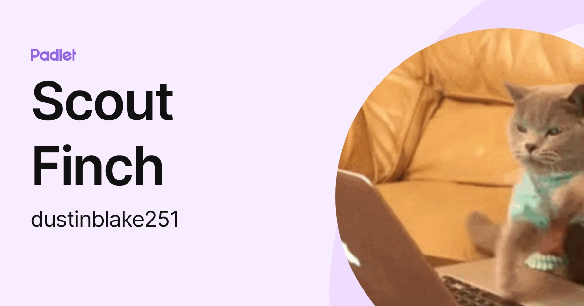 Scout Finch (dustinblake251) profile | Padlet