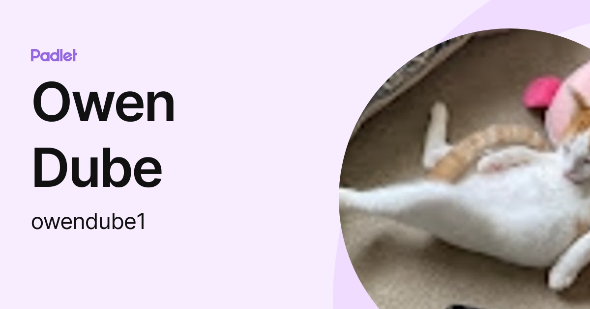 Owen Dube (owendube1) profile | Padlet