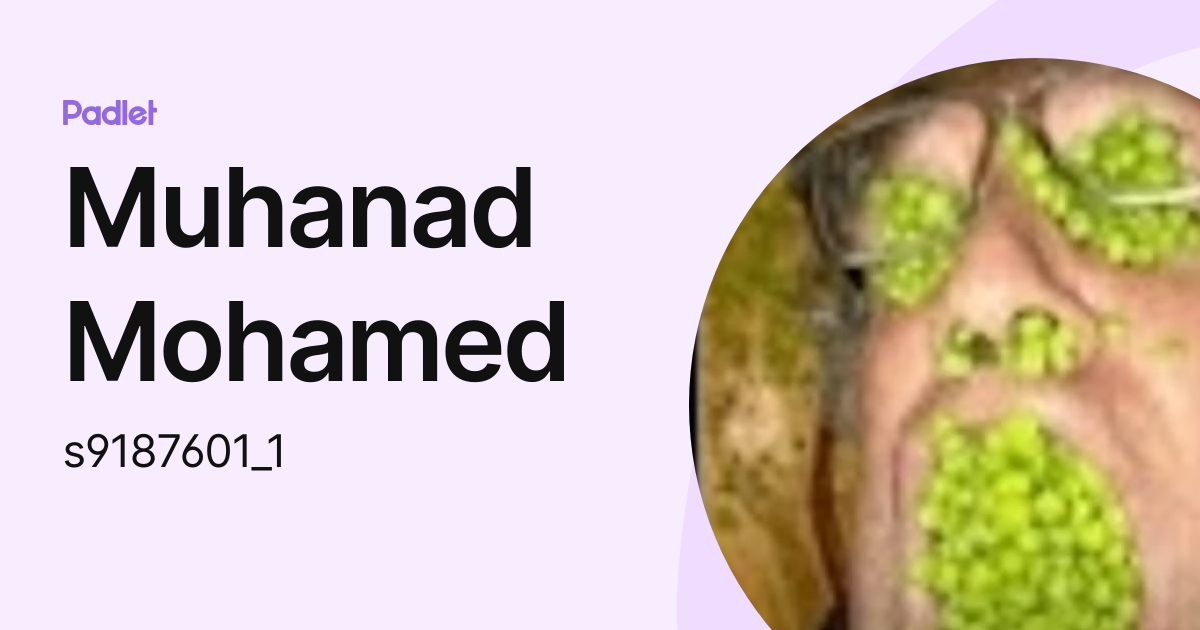 Muhanad Mohamed (s9187601_1) profile | Padlet