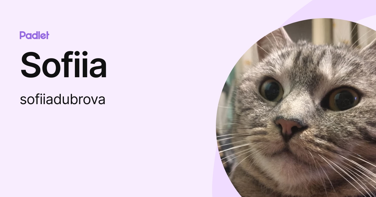 Sofiia Sofiiadubrova Profile Padlet