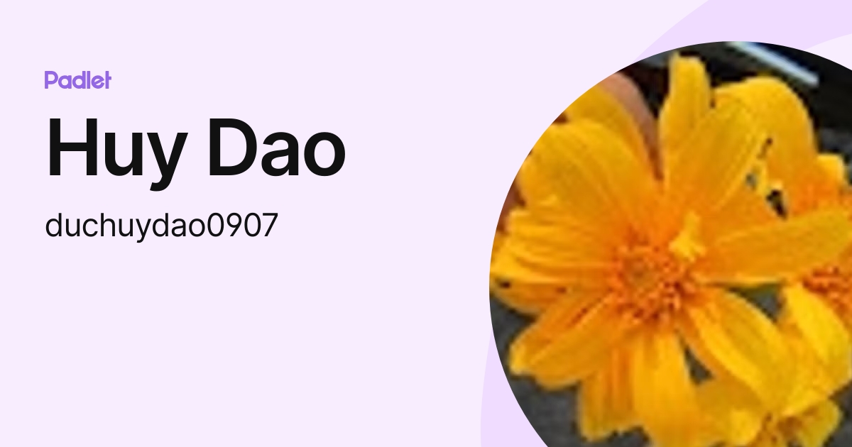 Huy Dao (duchuydao0907) profile | Padlet