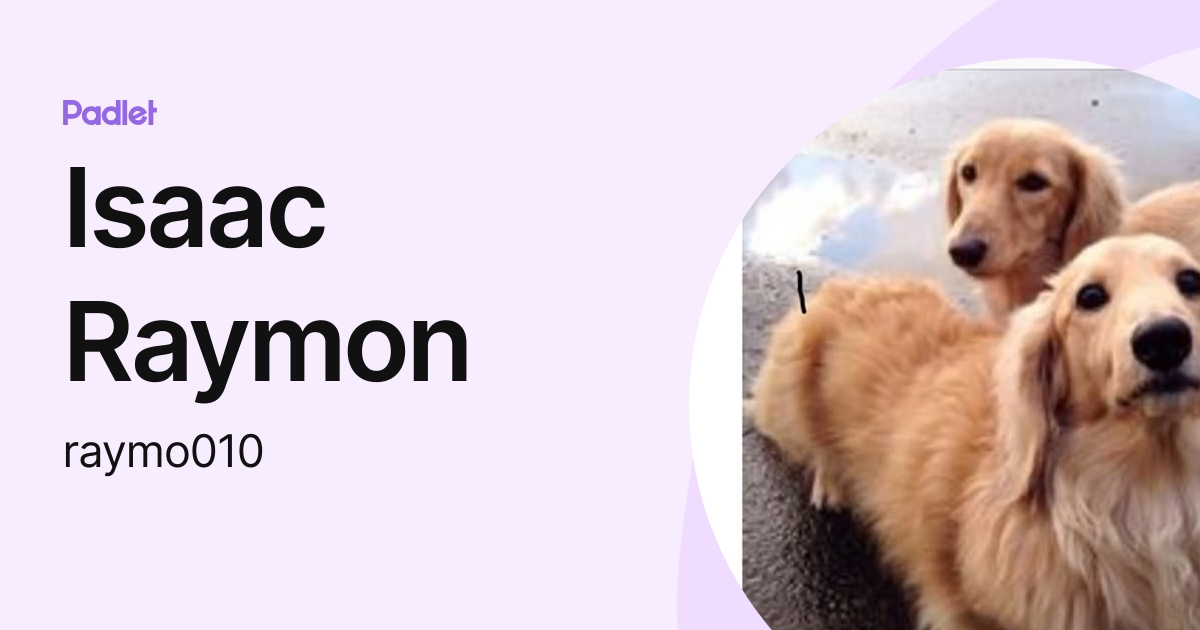 Isaac Raymon (raymo010) profile | Padlet