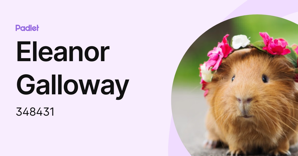 Eleanor Galloway (348431) profile | Padlet