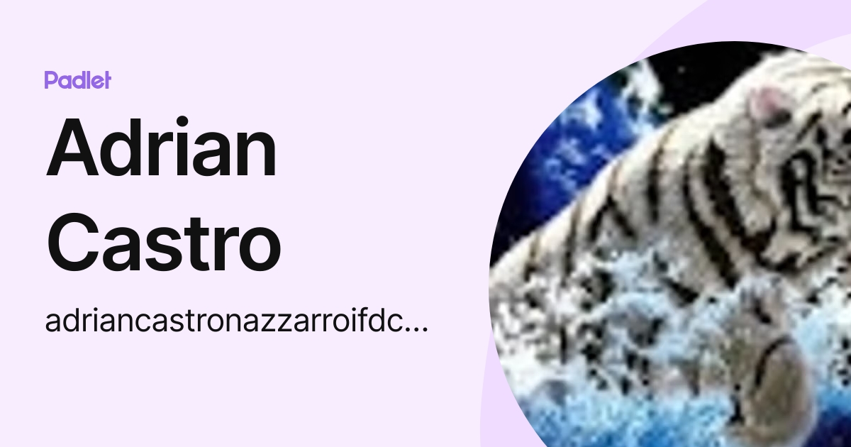 Adrian Castro (adriancastronazzarroifdcvm) profile | Padlet