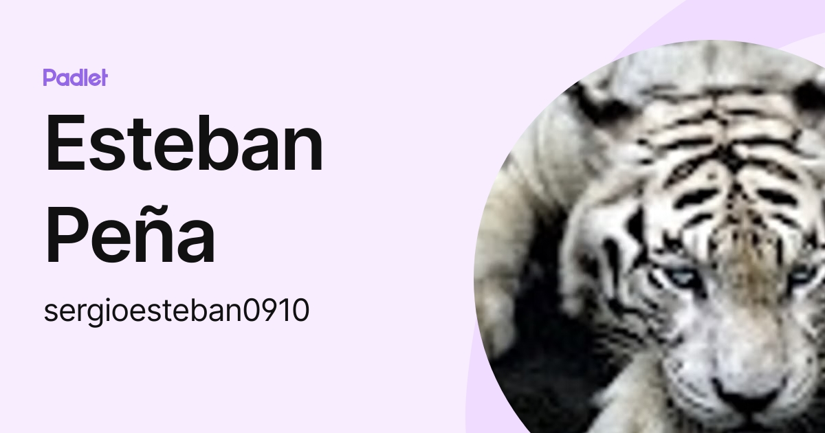 Esteban Peña (sergioesteban0910) profile | Padlet