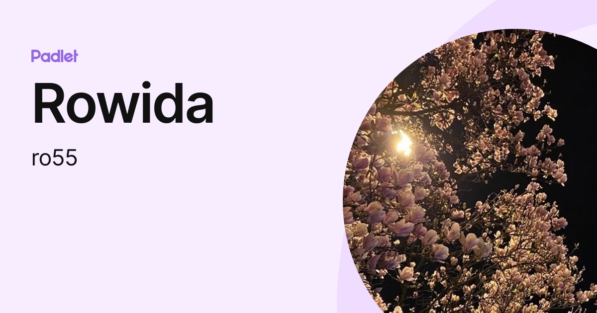 Rowida (ro55) profile | Padlet