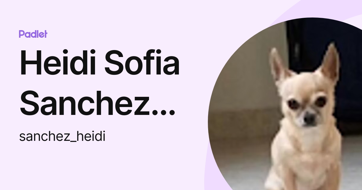 Heidi Sofia Sanchez Veloquio (sanchez_heidi) profile | Padlet