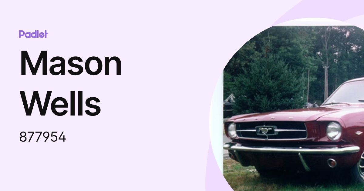 Mason Wells (877954) profile | Padlet