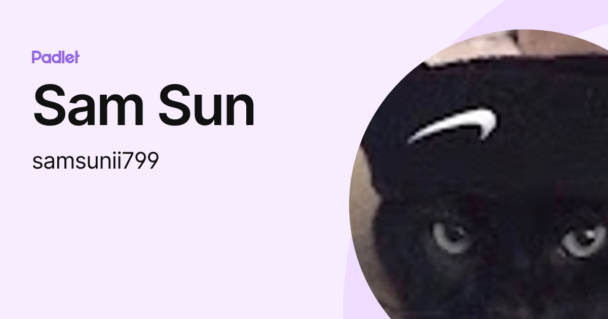 Sam Sun (samsunii799) profile | Padlet