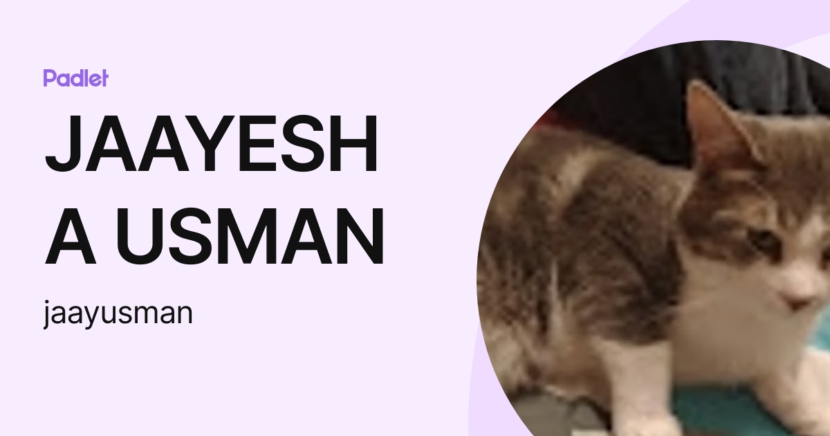 JAAYESHA USMAN (jaayusman) profile | Padlet