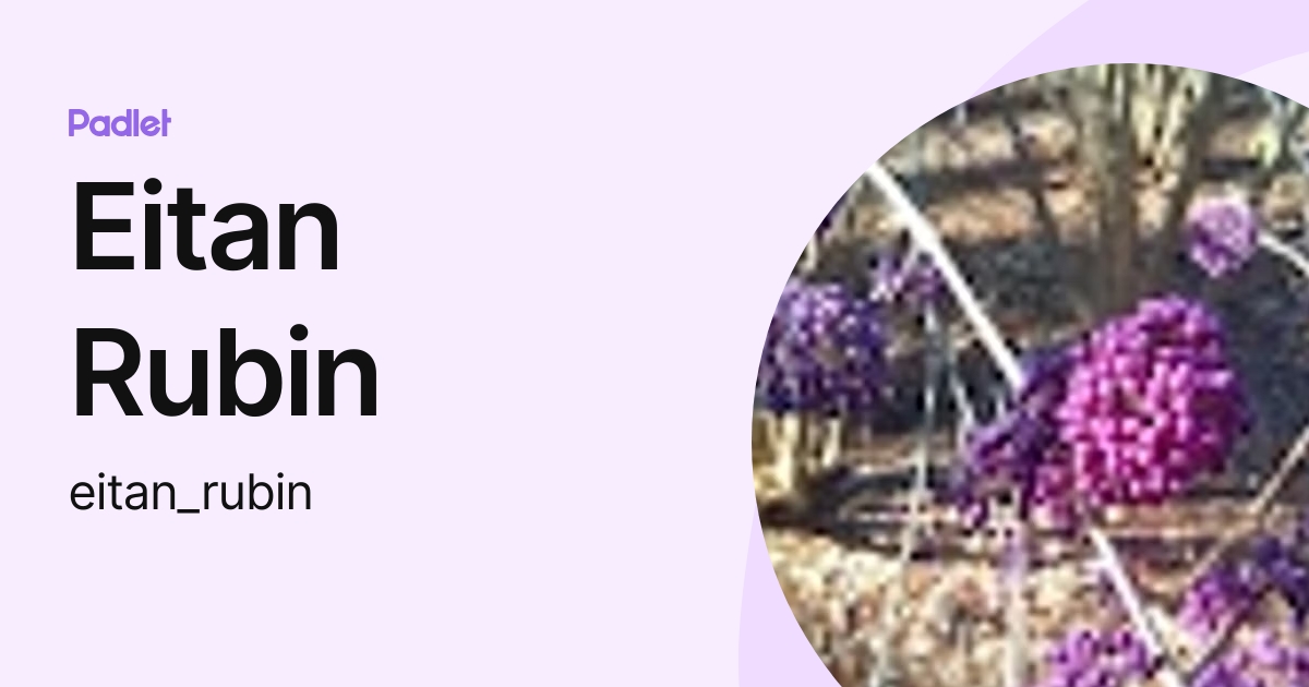 Eitan Rubin (eitan_rubin) profile | Padlet