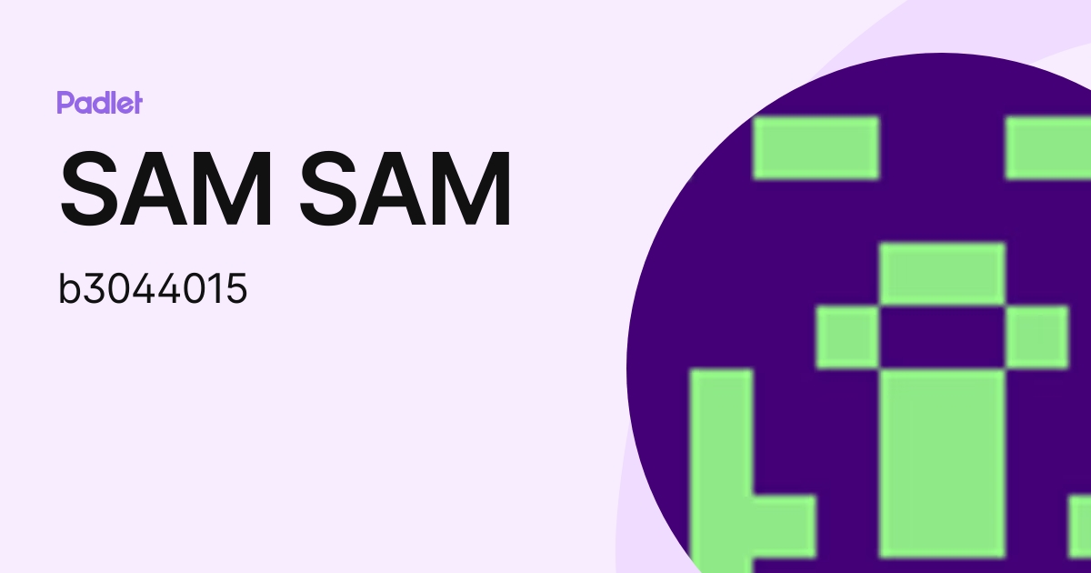 Sam Sam B3044015 Profile Padlet