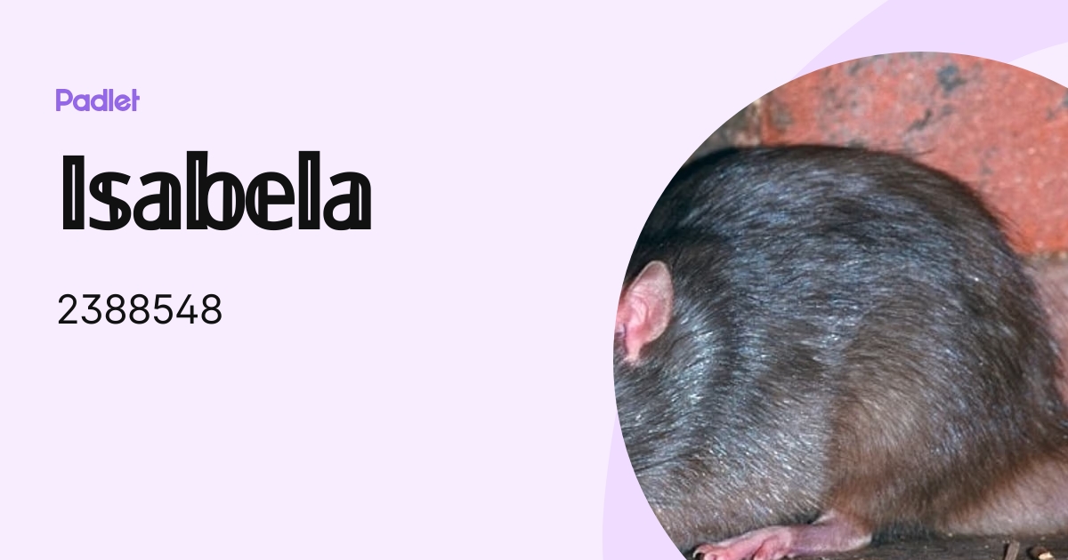 𝕀𝕤𝕒𝕓𝕖𝕝𝕒 (2388548) profile | Padlet