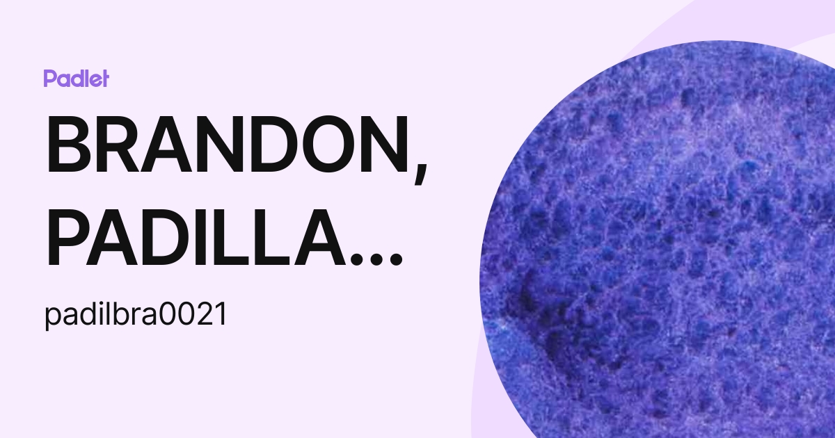 BRANDON, PADILLA-REYNOSO (padilbra002) profile | Padlet