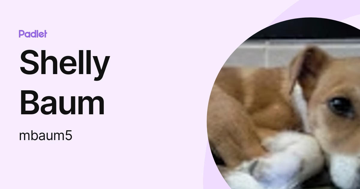 Shelly Baum (mbaum5) profile | Padlet