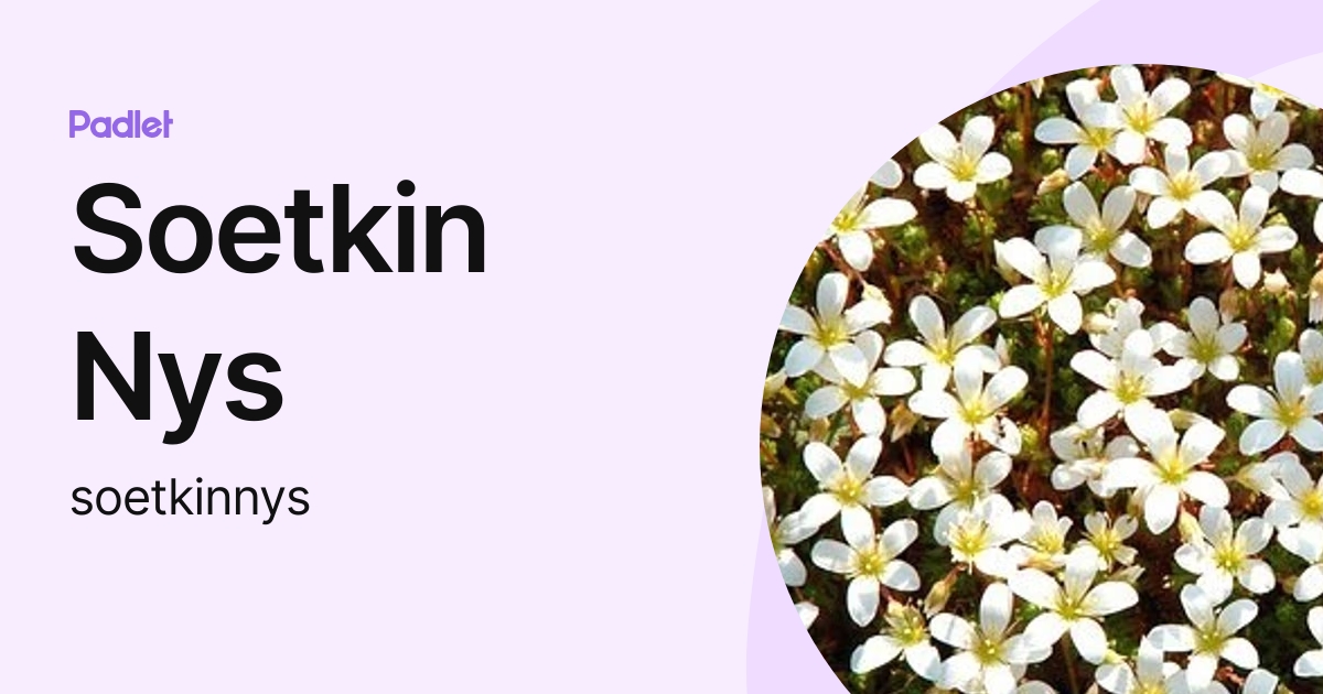 Soetkin Nys (soetkinnys) profile | Padlet