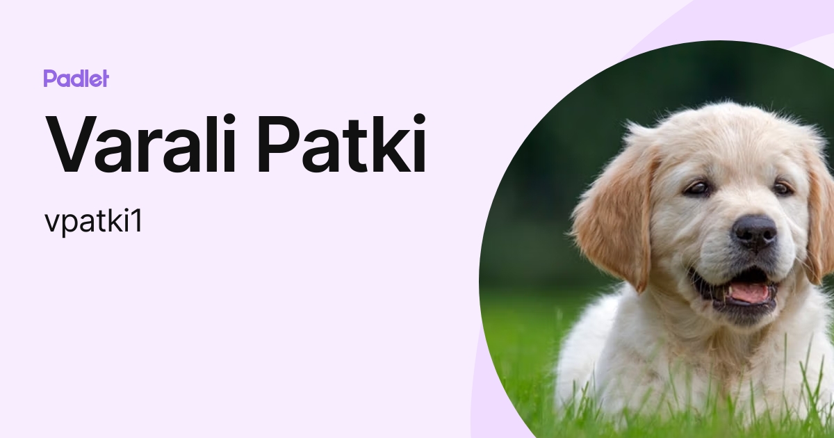 Varali Patki (vpatki1) profile | Padlet