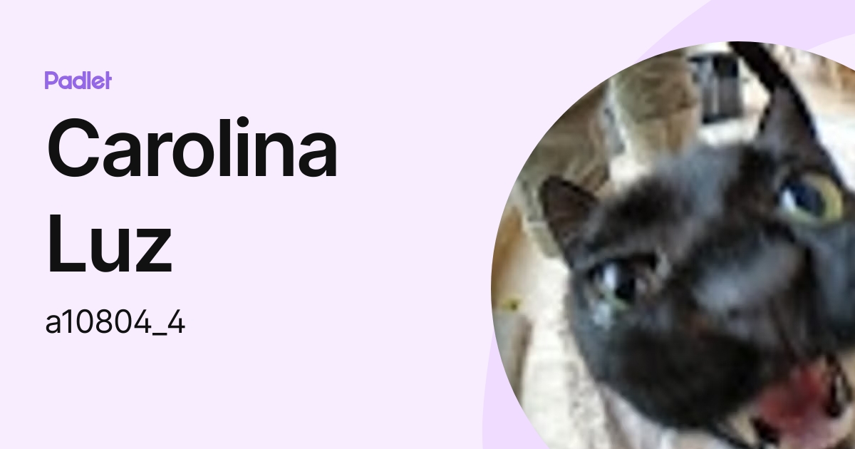 Carolina Luz (a10804_4) profile | Padlet