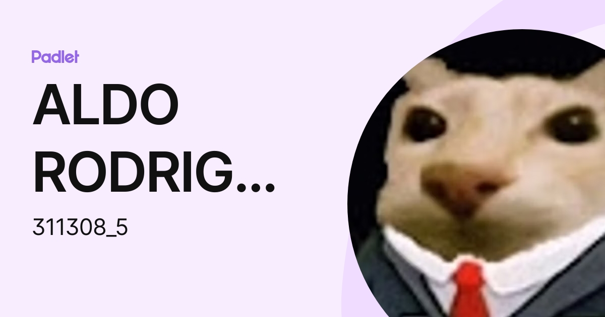 ALDO RODRIGO RIVERA GONZALEZ (311308_5) profile | Padlet