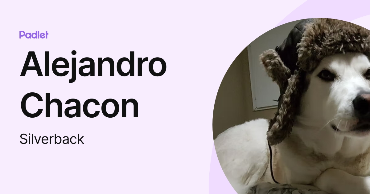 Alejandro Chacon (Silverback) profile | Padlet