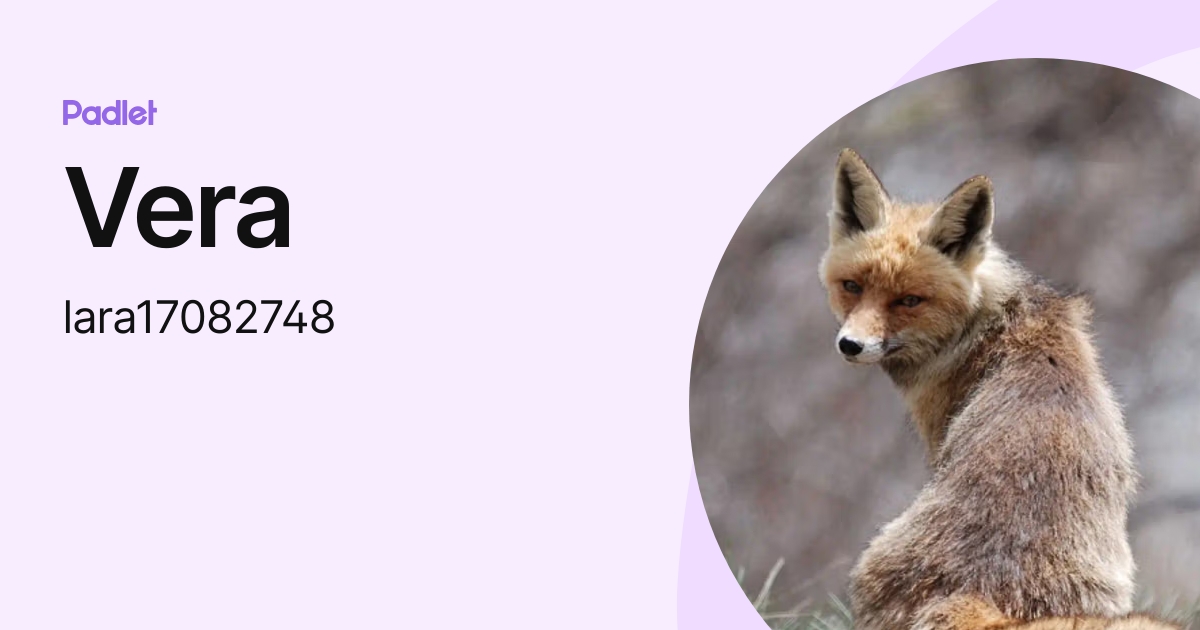 Vera (lara17082748) profile | Padlet