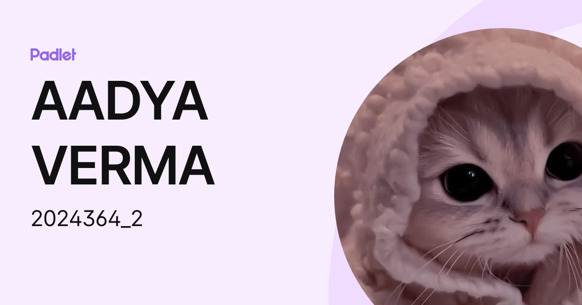 AADYA VERMA (2024364_2) profile | Padlet