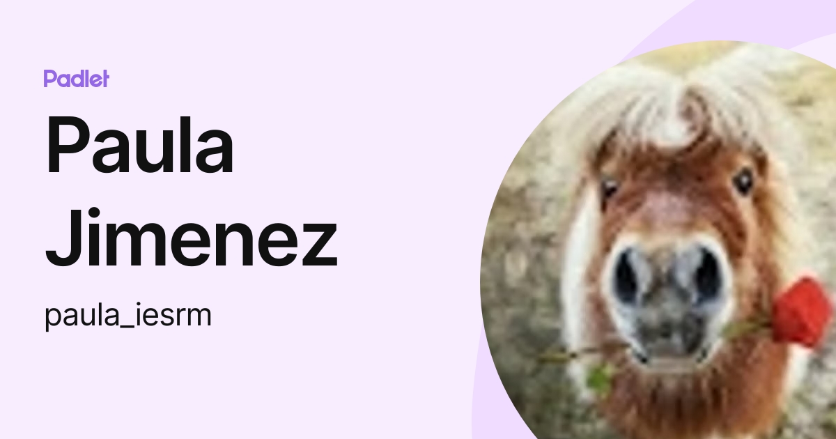 Paula Jimenez (paula_iesrm) profile | Padlet