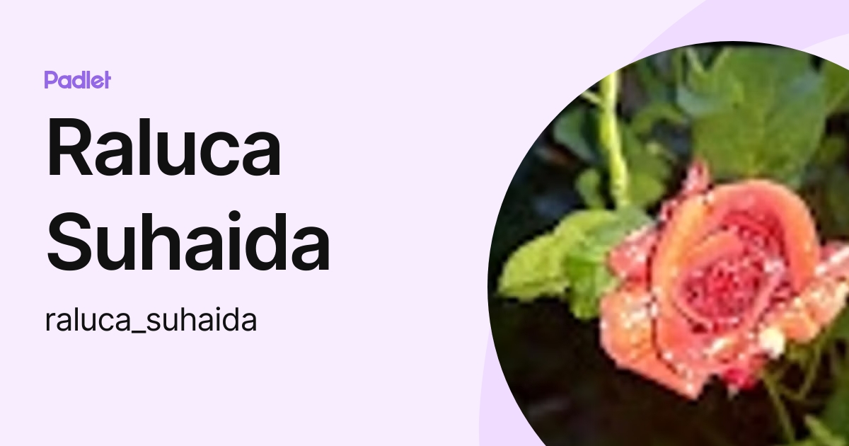 Raluca Suhaida (raluca_suhaida) profile | Padlet