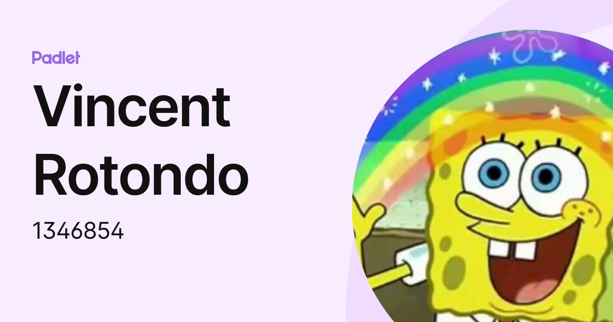 Vincent Rotondo (1346854) profile | Padlet