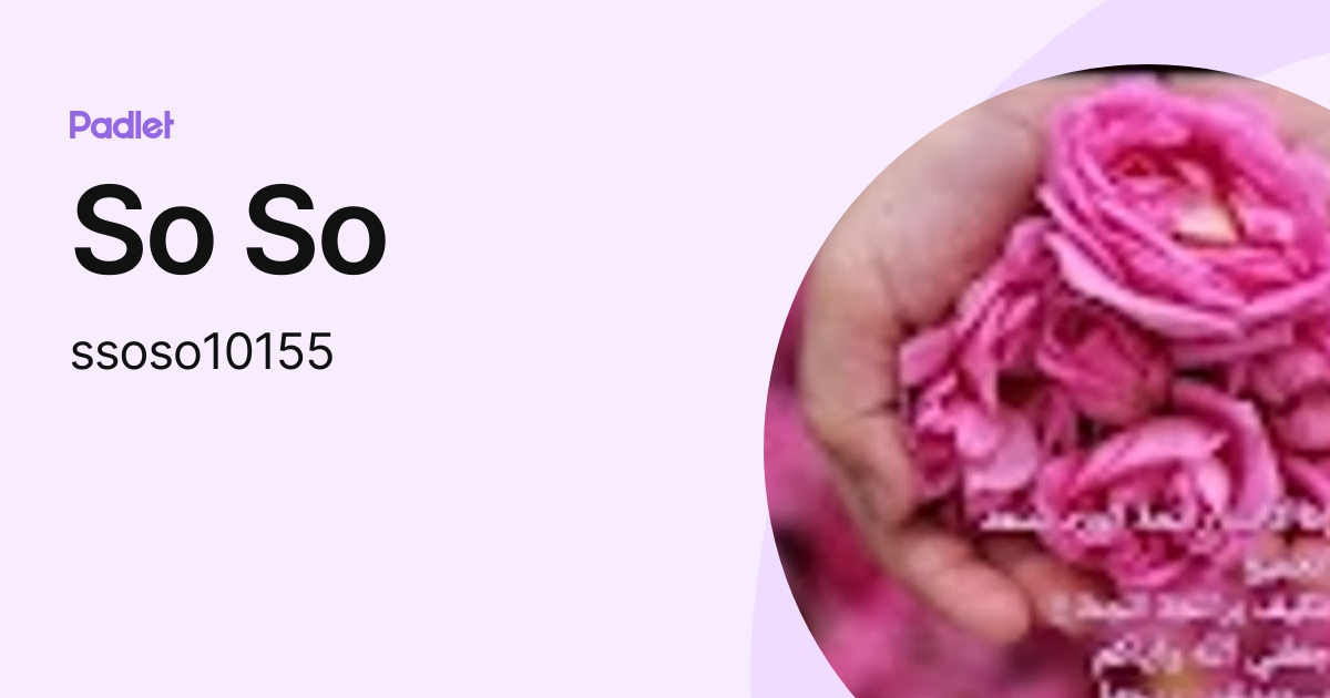So So (ssoso10155) profile | Padlet