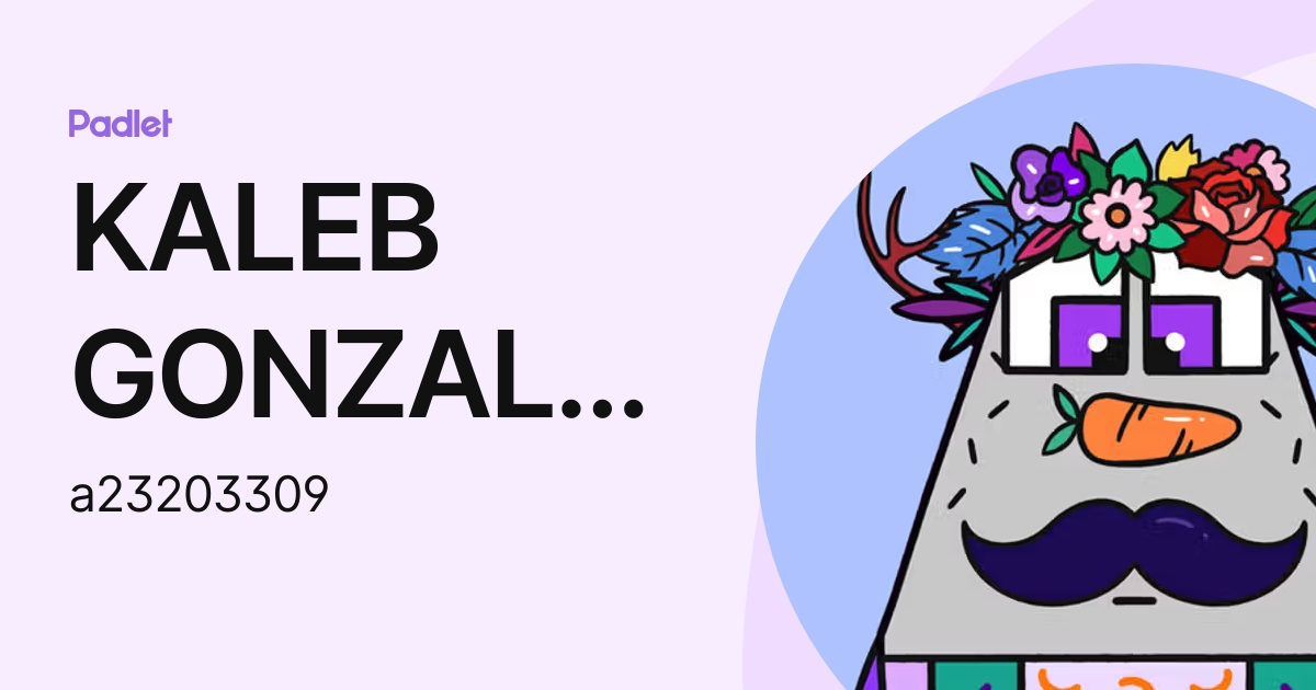 KALEB GONZALEZ BECERRIL (a23203309) profile | Padlet