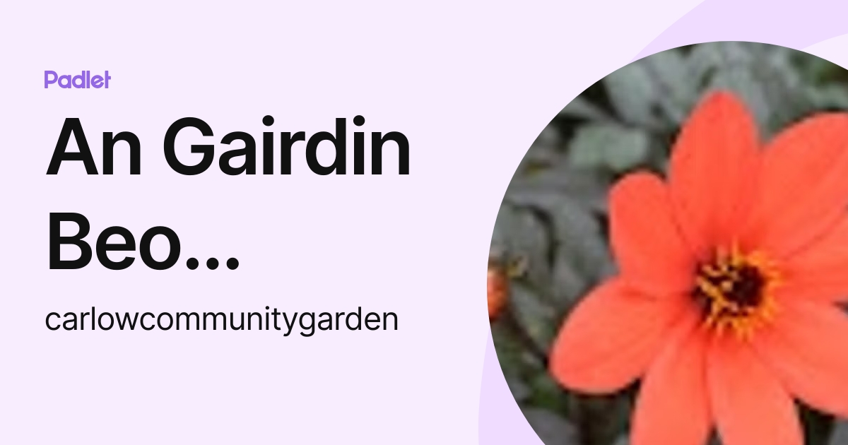 An Gairdin Beo Carlow Community Garden (carlowcommunitygarden) profile | Padlet