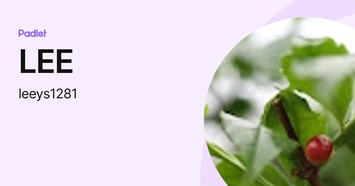 LEE (leeys1281) profile | Padlet
