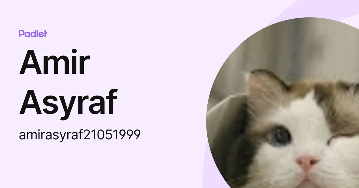 Amir Asyraf (amirasyraf21051999) profile | Padlet