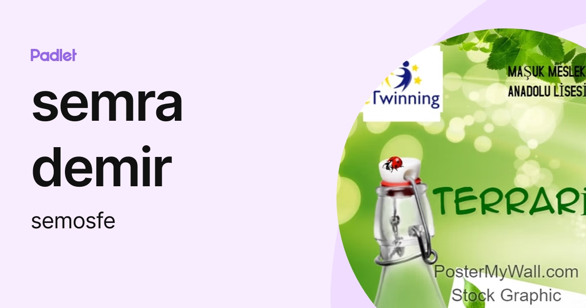 semra demir (semosfe) profile | Padlet