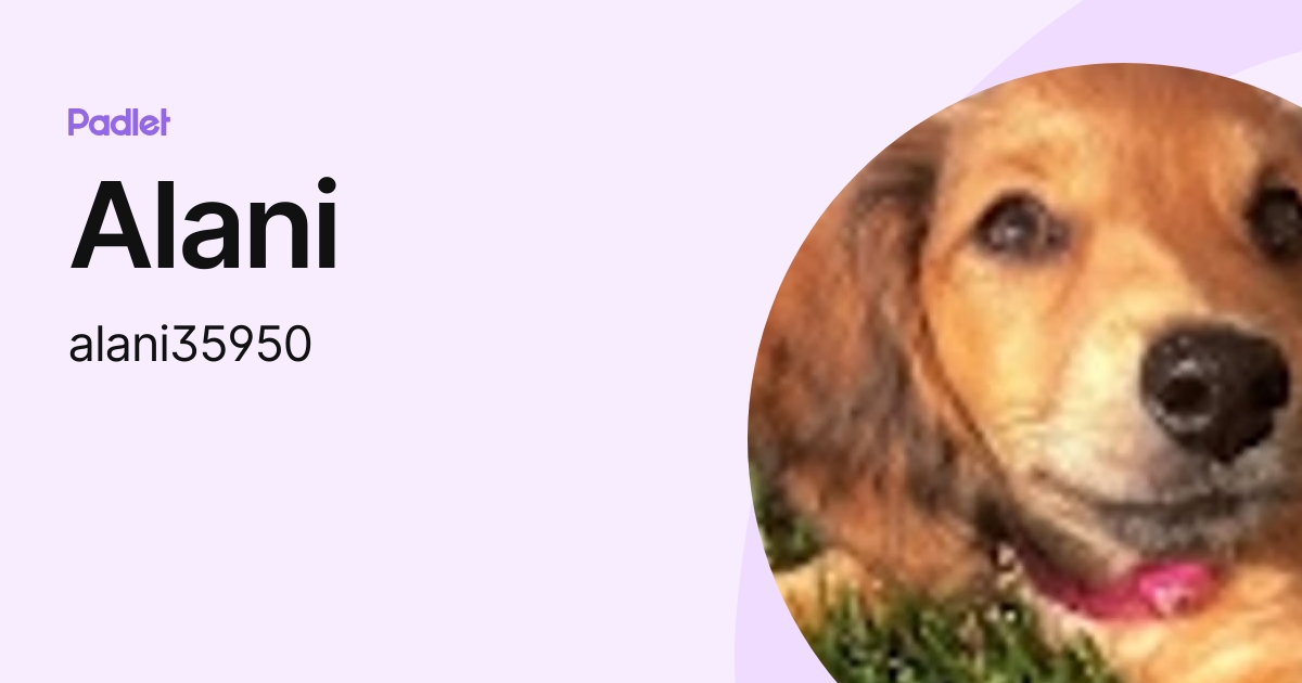 Alani (alani35950) profile | Padlet
